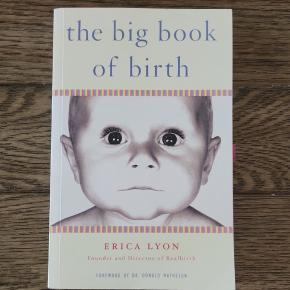 Other | The Big Book Of Birth By Erica Lyon | Poshmark